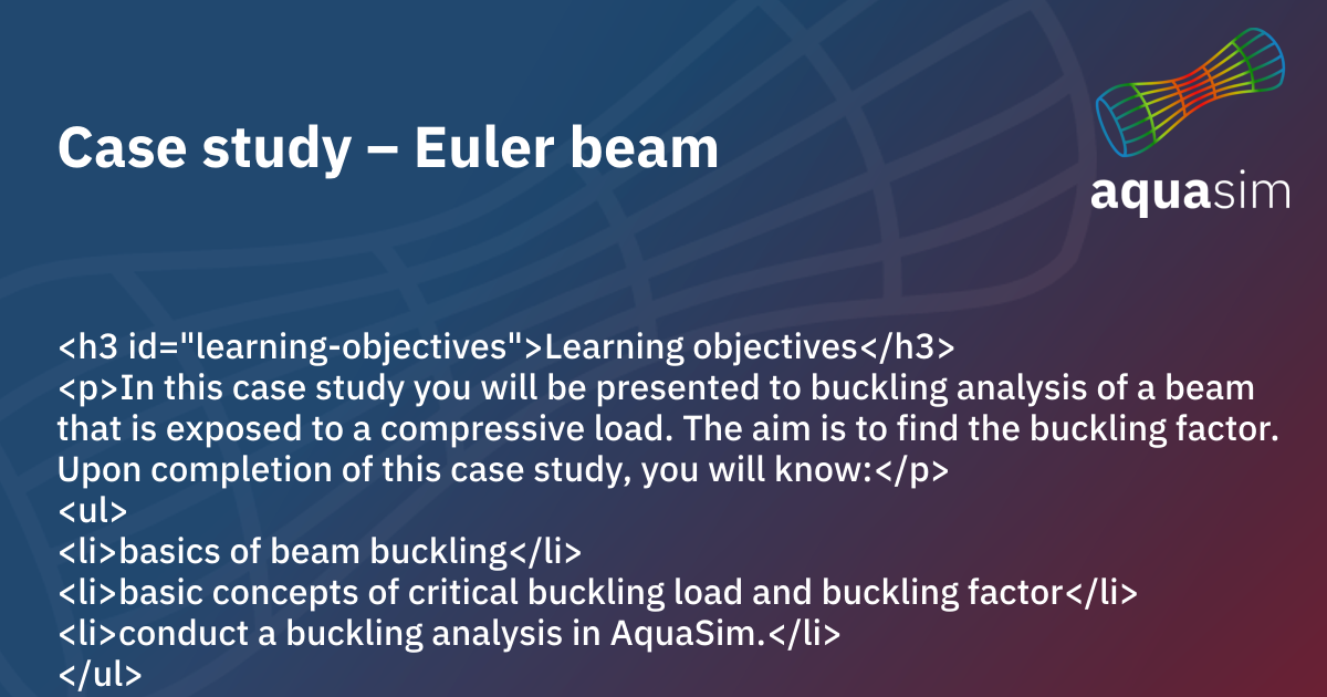Case study – Euler beam | AquaSim